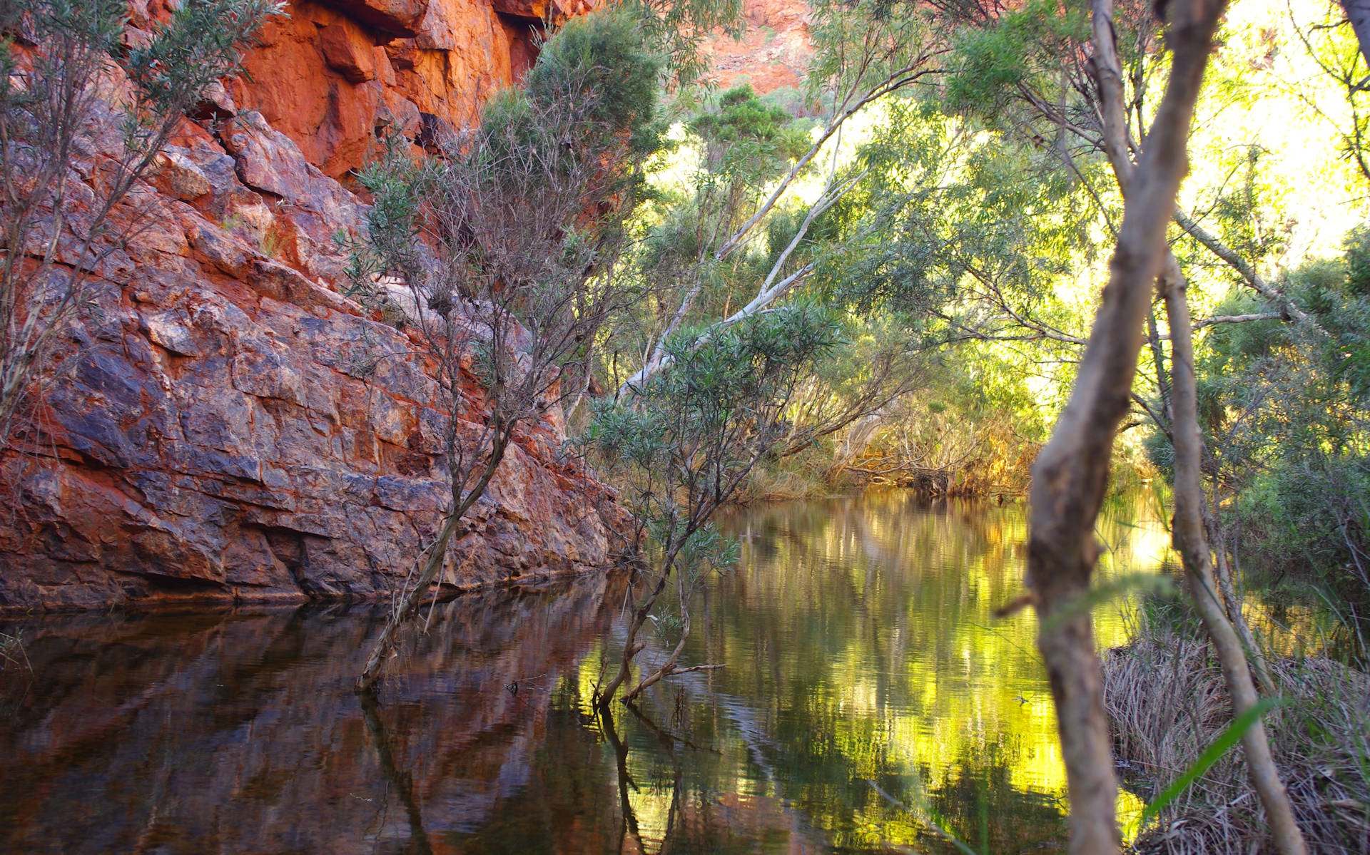 Preston Consulting - Environmental Services Perth WA